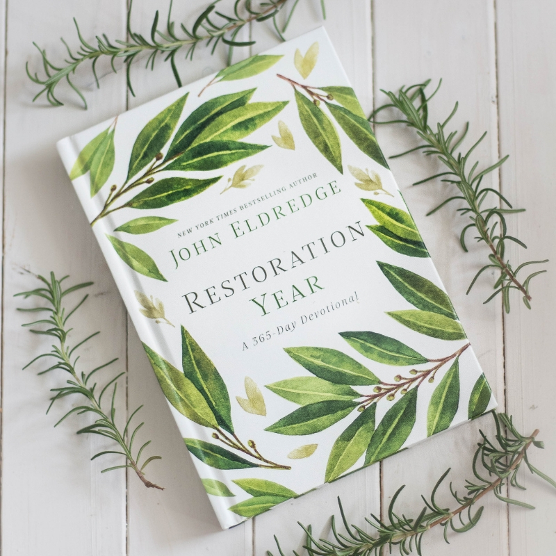 Restoration Year by John Eldredge Review | Inkblots of Hope